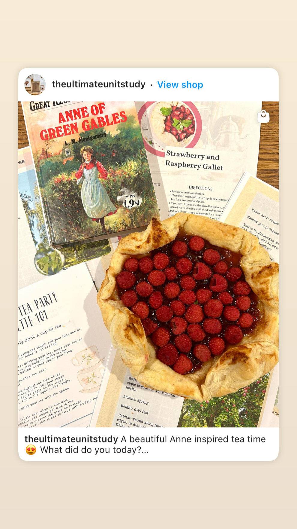 The Ultimate Unit Study- Anne Edition- Novel Study based on Anne of Gr ...